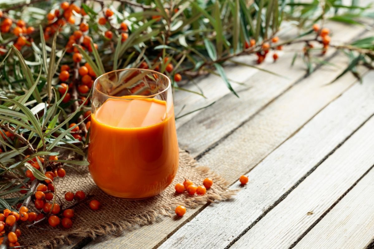 Šaltalankių sultys: kuo jos naudingos Jūsų organizmui?